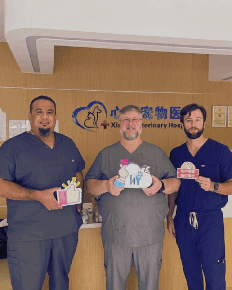 TEER Surgery - Sawgrass Veterinary Cardiology